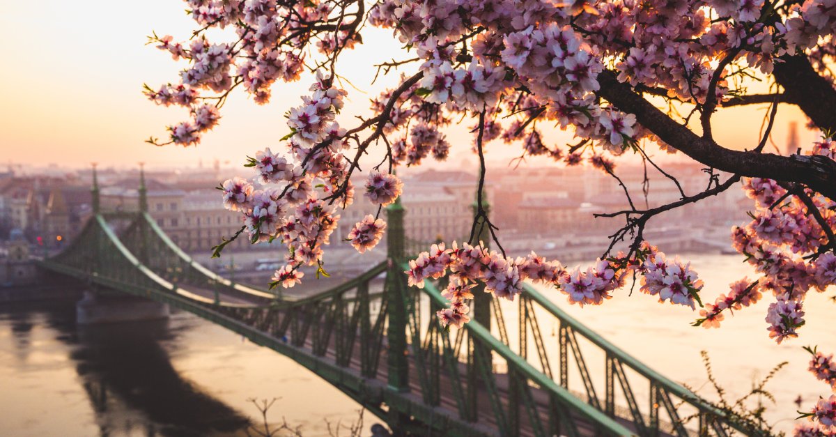 5 must-see spring attractions in Budapestnot to be missed